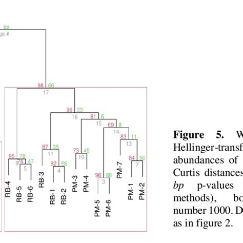 Hierarchical Clustering According To The Wards Method а Download