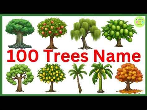 Trees Name In English All Plants Name In English List Of Trees Names Trees Tree