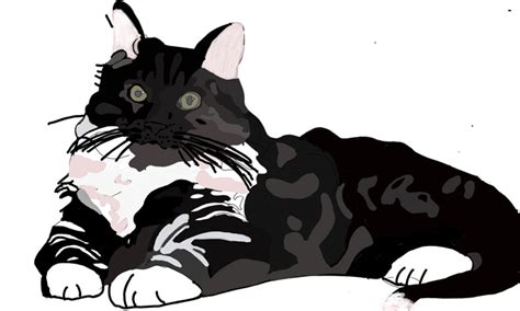 My Cat Lucy Rdigitalart