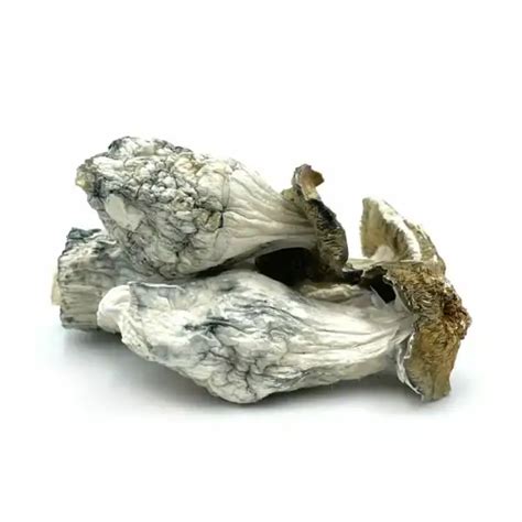 Melmac Pe Shroomland