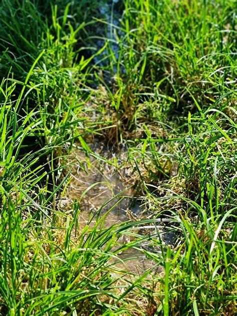 Day One Of The Irrigation System Performance Assessor Course Is Complete We Managed To Beat The