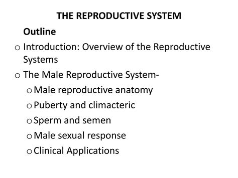 Male Reproductive Anatomy Worksheet Anatomy And Physi