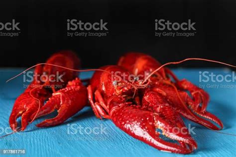 맛 있는 삶은 왕새우 클로즈업입니다 어두운 배경입니다 해산물 저녁 식사입니다 갈고리 발톱에 대한 스톡 사진 및 기타 이미지 갈고리 발톱 갑각류 강 Istock