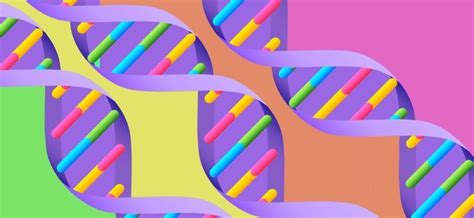 Autor In Nazli Ghassemi