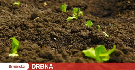 Půda hraje roli ve znečišťování ovzduší Její kvalita může mít dopad na