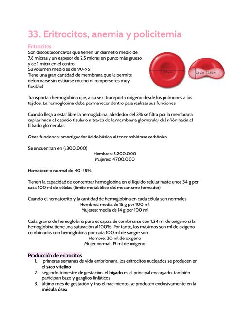 SOLUTION Eritrocitos Anemia Y Policitemia Fisiologia Humana Studypool
