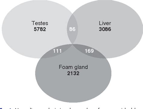 figure 1 from selective constraint dominates the evolution of genes