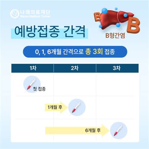 B형간염 항체검사 B형간염 2차 3차 접종 시기 네이버 블로그