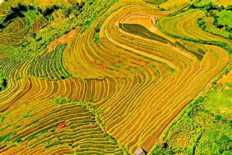 越南安沛省木江界诗情画意的田园风景吸引游客前来观赏 Nhan Dan Online