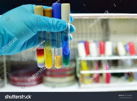 Microbiological Analysis Service In Bengaluru