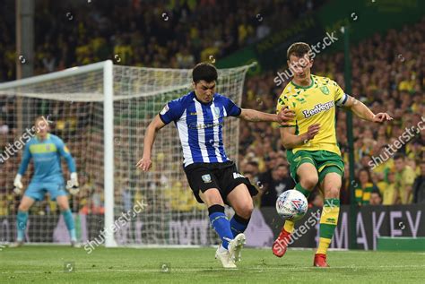 Fernando Forestieri Sheffield Wednesday Christoph Zimmermann Editorial Stock Photo Stock Image