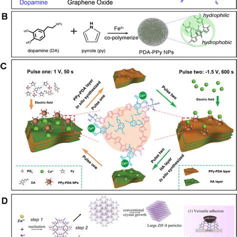 Polyphenol Molecules Acting As A Reducing Agents Reprinted With Download Scientific Diagram