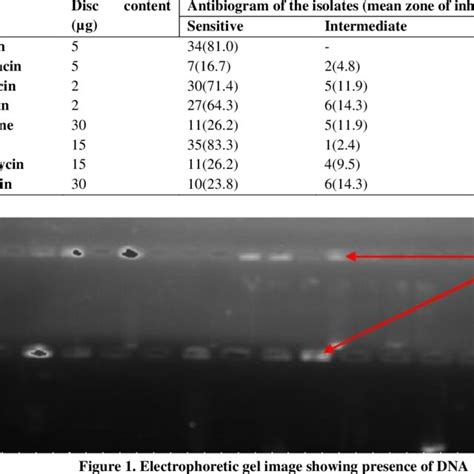 Susceptibility Pattern Of The Methicillin Resistant Staphylococcus