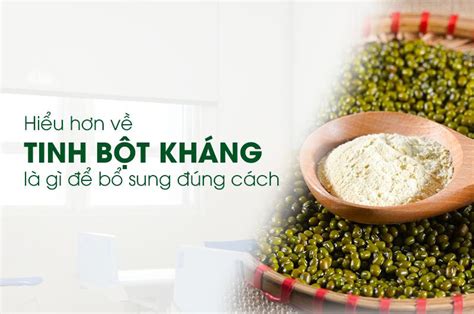Tinh Bột Kháng Là Gì Và Những điều Cần Biết