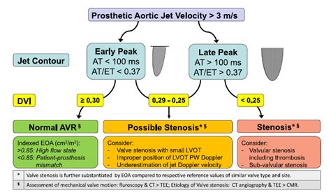 GuÍas Para La EvaluaciÓn De La FunciÓn De VÁlvulas ProtÉsicas Con