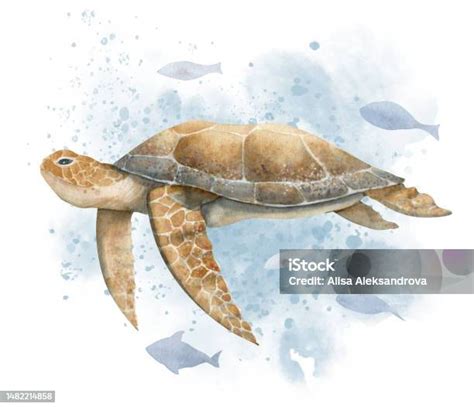 물고기와 수채화 물살이 있는 바다 거북 아이콘 또는 로고에 대한 고립된 배경에 수중 거북이의 손으로 그린 수채화 그림 해양