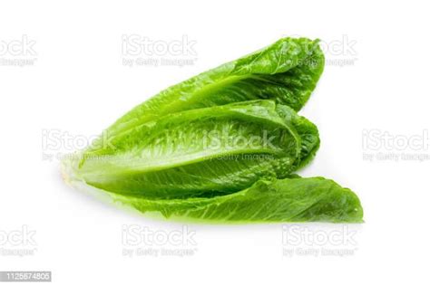 Cos 양상추 흰색 배경에 고립입니다 0명에 대한 스톡 사진 및 기타 이미지 0명 건강한 식생활 날것 Istock