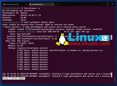 何时应该考虑使用 Wsl 而不是标准 Linux 发行版？ 阿里云开发者社区