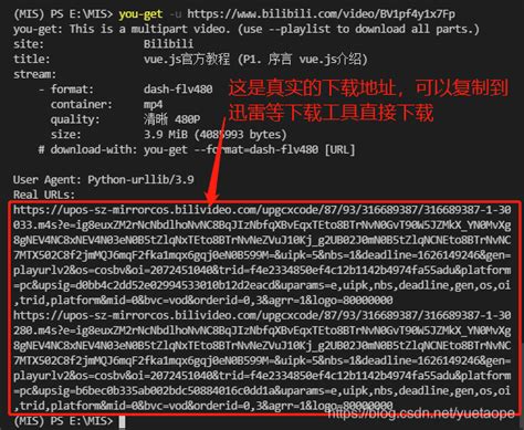 you get：无需代码爬取网站资源：视频、图片、音频等 python you get下载网页图片 csdn博客