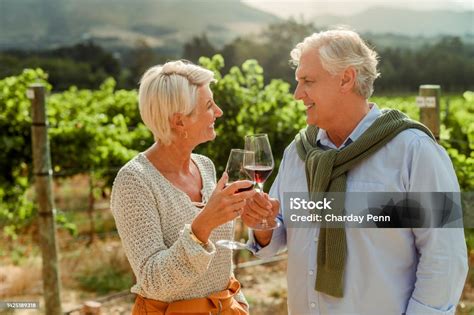 와인 농장 및 노인 남성과 여성이 부동산이나 와이너리에서 술을 마시는 커플 포도원에서 결혼 한 남편과 아내와 함께 음료 맛 및 지속 가능한 농업 2명에 대한 스톡 사진 및