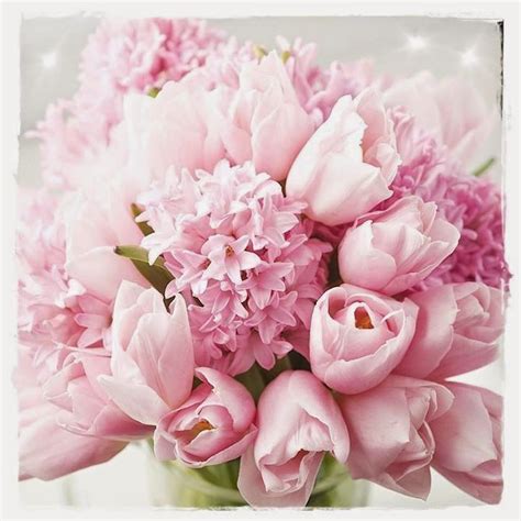 Vackrahemimora Vackra Blommor