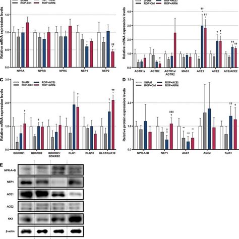 Molecular And Biochemical Quantification Of Target Molecules Of Nps