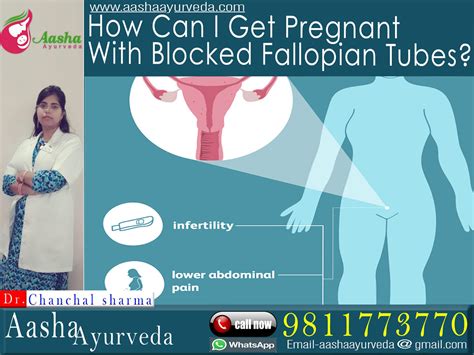 How Can I Get Pregnant With Blocked Fallopian Tubes Aasha Ayurveda