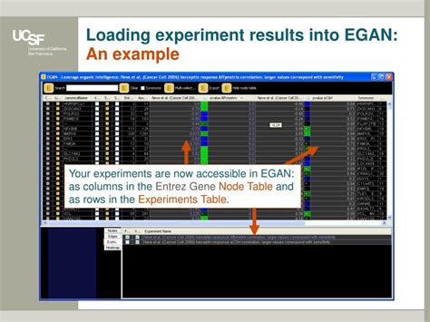 Ppt Egan Tutorial Loading Experiment Results Powerpoint Presentation