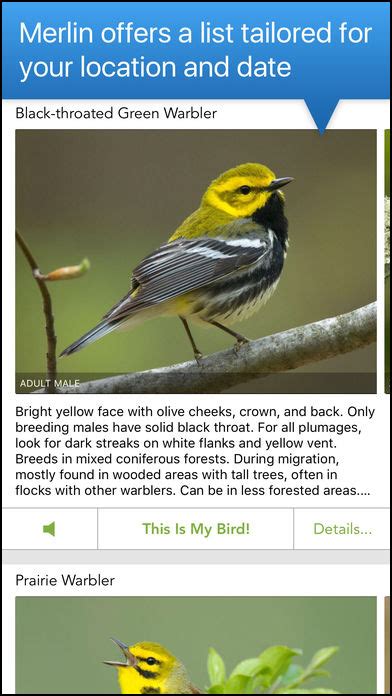 Merlin Bird Id App Birdguides