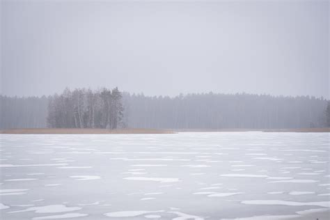 겨울 풍경입니다 얼음 호수와 나무의 회색 색상은 멀리 뒤에 0명에 대한 스톡 사진 및 기타 이미지 0명 1월 겨울 Istock