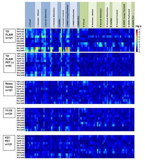 Heatmap Of The Correlation Analysis Between The Volumetric Overlap Of