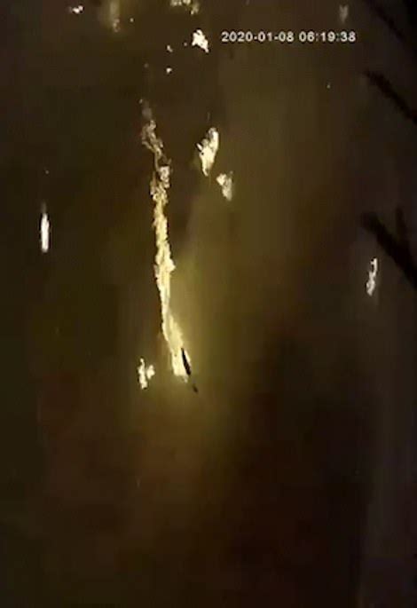 Ukraine Airlines Plane Was Shot Down By Iranian Anti Aircraft Missile