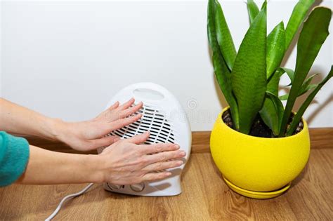 The Girl Holds Her Hands Near A Plastic Fan Heater And Warms Her Hands