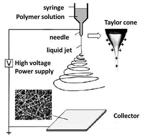 Polymers Free Full Text Biocompatible And Biodegradable 3d Printing