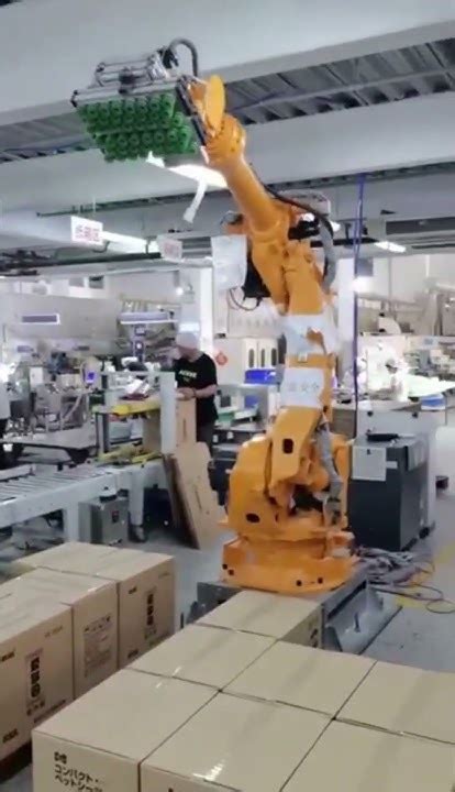 Robotic Palletizer Youtube