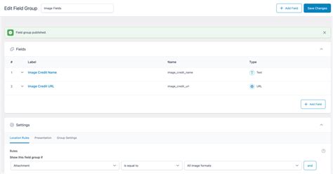 Custom Field Values Below Images In Wordpress Block Editor Output