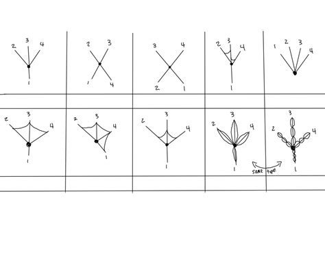 Bird Feet Morphology — Printable Worksheet