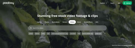 D3design Top 10 Web Cung CẤp Video Stock MiỄn PhÍ