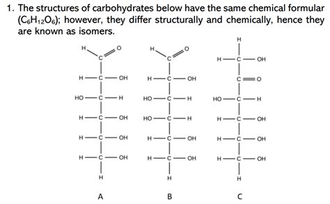 Solved Identify And Name The Following Structures And Also Chegg