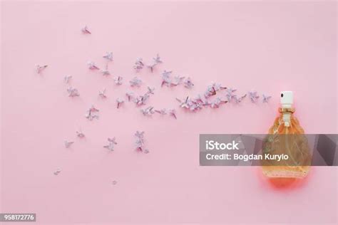 향수 그리고 꽃 향기 개념입니다 핑크 바탕에 라일락 꽃의 스프레이와 향수의 세련 된 병 창의적인 최신 유행 플랫 텍스트 위한