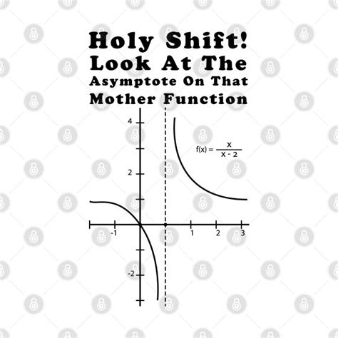 Holy Shift Look At The Asymptote On That Mother Function Holy Shift