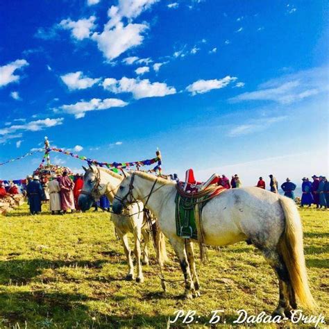 Хөдөөгийн баясгалан Ulaanbaatar