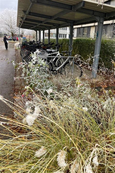Frosty Morning In Campus Of Munich Garching Technical University Editorial Stock Image Image