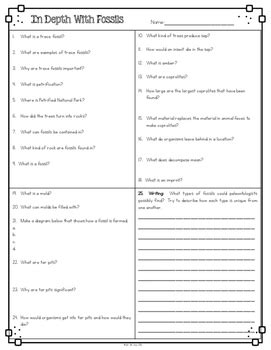 In Depth With Fossils Differentiated Reading Passages Questions