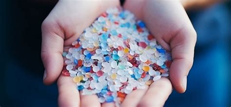 ¿cómo Se Originan Los Microplásticos Y Cómo Evitarlos