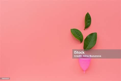 분홍색 배경에 생리컵 대체 여성 위생 제품 기간 동안 여성 건강 개념입니다 공간을 복사합니다 환경 친화적 인 개념 제로 폐기물 제품 플랫 레이 모형 템플릿 0명에 대한 스톡
