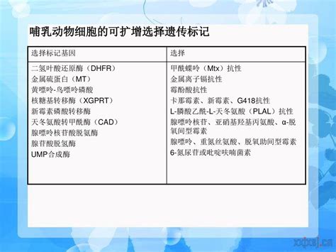 7生物制药的上游技术 制作人 李慧 Ppt Download