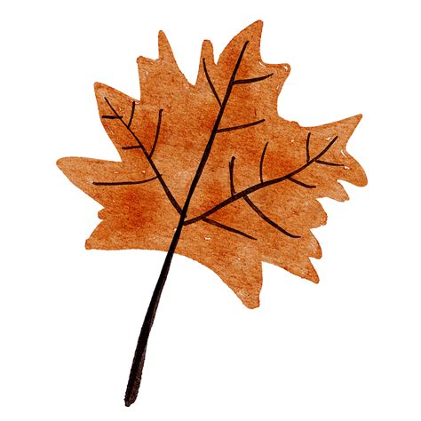 100 000 Free Maple Leaf Hair And Maple Leaf Images Pixabay