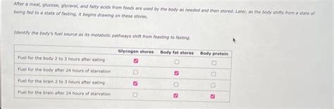 Solved 1 Energy Metabolism Pathways The Body Uses