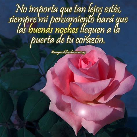 Imagenes De Rosas Con Frases